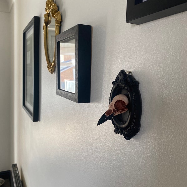 Framed Magpie Skull, 3D Gothic Wall Art, Halloween Home Decor - Etsy