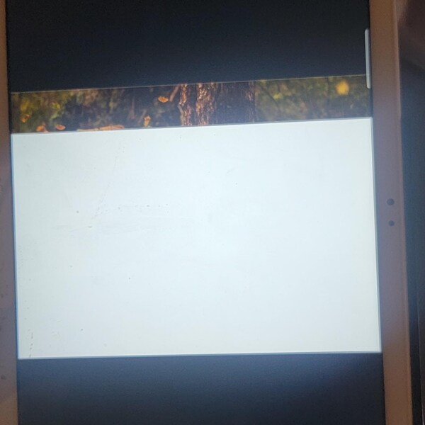 Flower Glade Photoshop Overlays, Flowering Field Photo Overlays ...