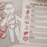 Anatomy Game, Printable Human Body Preschool Activity, About Me Kids ...
