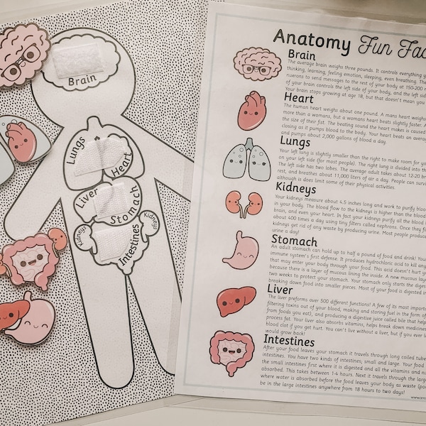 Anatomy Game, Printable Human Body Preschool Activity, About Me Kids ...