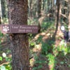Custom Trail Sign - Etsy