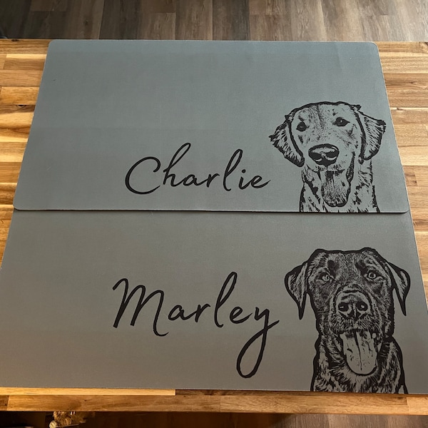 Personalized Dog Mats Using Pet Photo + Name Personalized Dog Food Mat ...