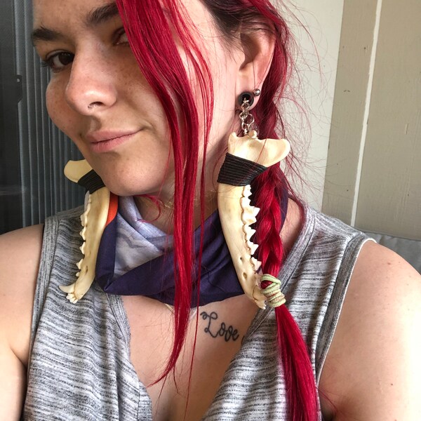 Coyote Jaw Bone Hangers With Gold Coils. *real Humanely Collected Bones ...