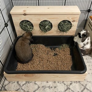 Large EZ Entry 2.0 Hop Box: Rabbit Bunny Easy Entry Hay Feeder and ...