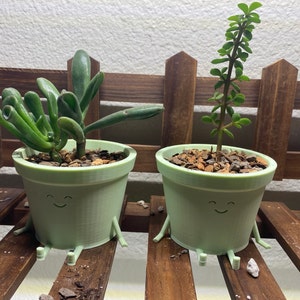 Happy Planters for Happy Plants Small Size Pastel Colors Plant Pot - Etsy