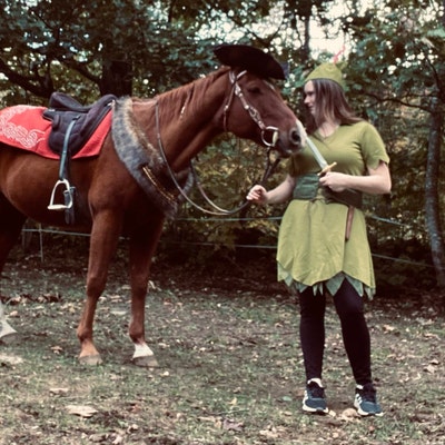 Destrier Horse Costume for Any Size Equine Horse Blanket and - Etsy