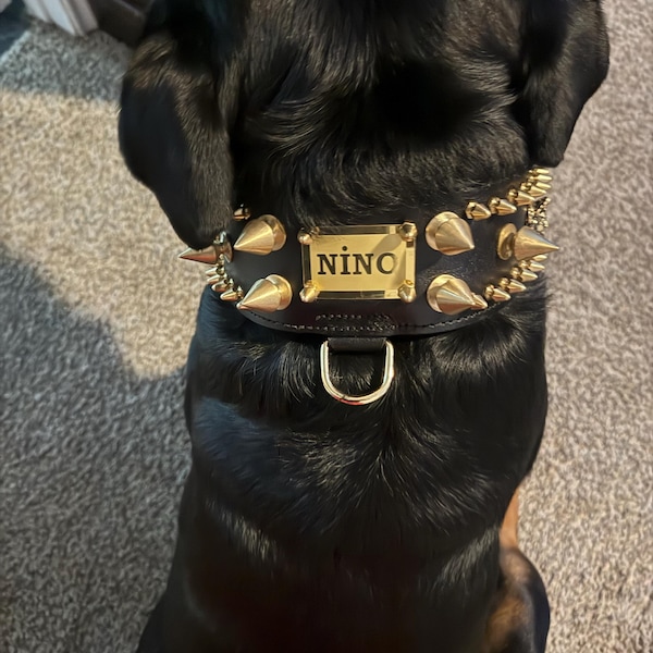Extreme Collars Handmade Dog Collars Personalized Collars Dog Gift ...