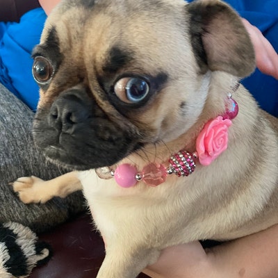Retro Pug Specialty Pug Bead Necklace - Etsy