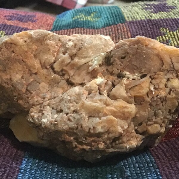 Rare Botryoidal Petrified Wood Chalcedony Agate Opal 200 Million Year ...