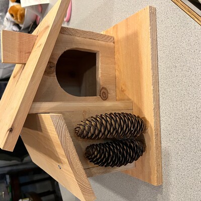 Squirrel House/nesting Box - Etsy