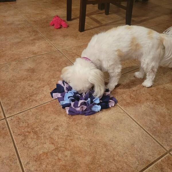 SMALL Burnt Orange Snuffle Mat for Dogs - Enrichment Mat - Rooting Rug ...