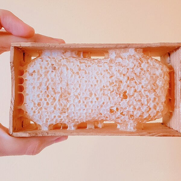 Organic 100% Natural Pure Raw Honeycomb Squares Just Fresh From Bee ...