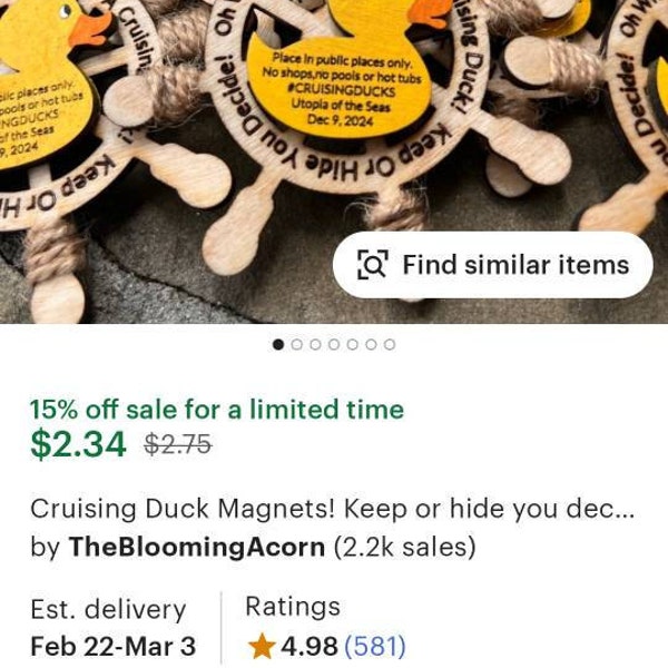 Cruising Duck Magnets! Keep or Hide You Decide !! - Etsy