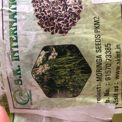 Atibala Root Indian Mallow Abutilon Indicum Root Kangi Root Atibala ...