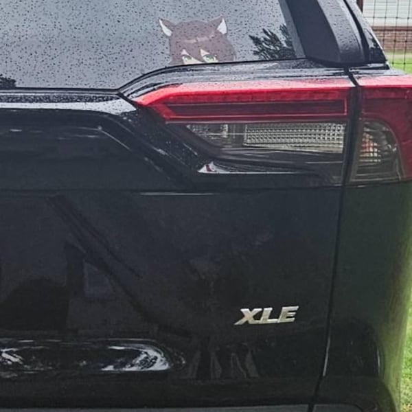 Huohuo Peeker Holographic Sticker | Honkai Star Rail Sticker | Huohuo ...