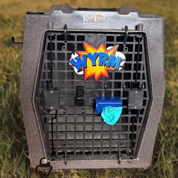 Swirl Personalized Pet Crate Tag, Calligraphic Kennel Name Plate, Art ...