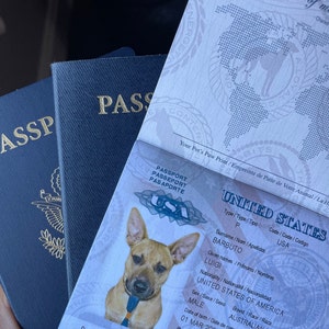 The Pet Pass 50 US State Stamp Stickers - Etsy