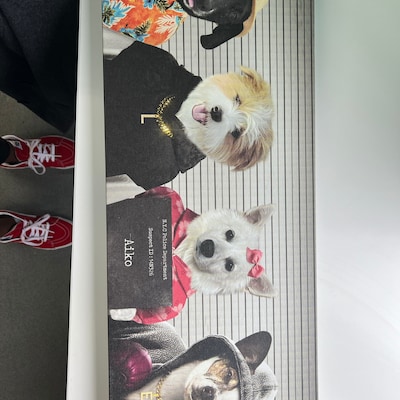 Multiple Pet Portrait, Custom Multi Pet Canvas, Custom 3 Pets Portrait ...