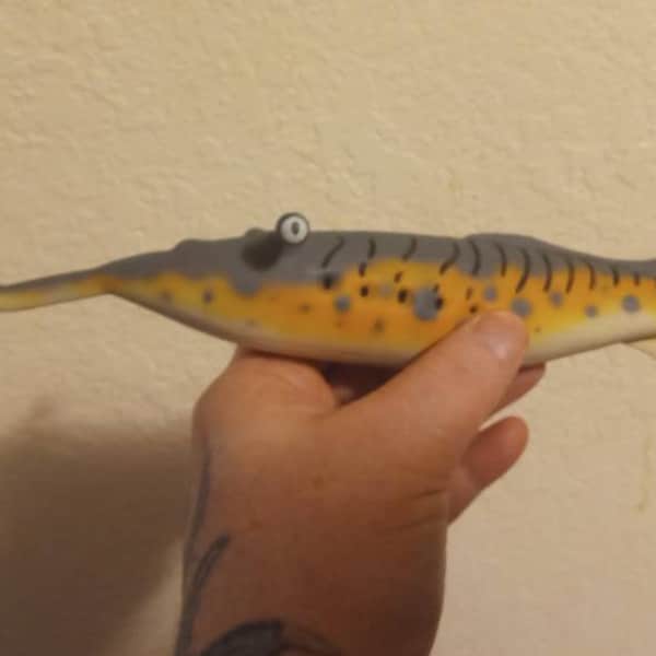 DIPLOCAULUS MAGNICORNI, Model, Paleoartistic Reconstruction ...