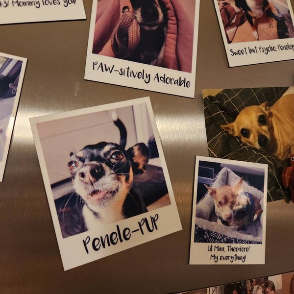 Custom Pet Magnets Cute Animal Magnets Decorative Magnets Dog Cat Lover ...