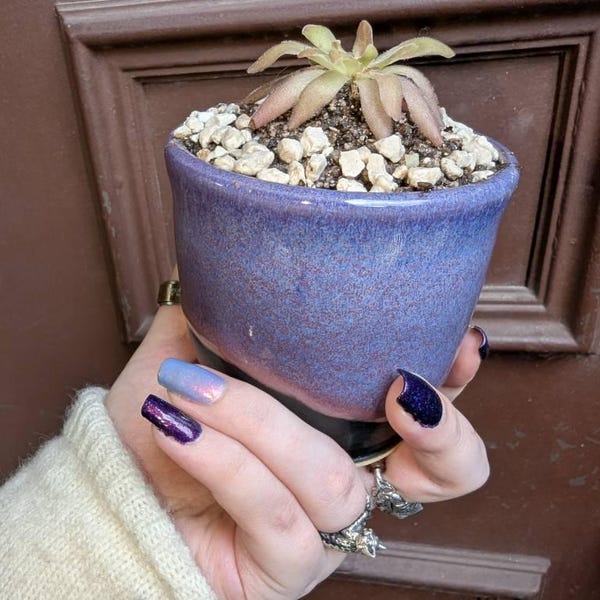 6” Ceramic Planter | Handmade Pottery, Plant Pot, Pink Planter, Orange ...