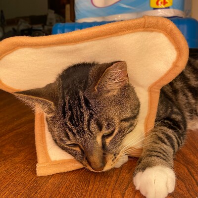Bread Cat Costume for Cats - Etsy