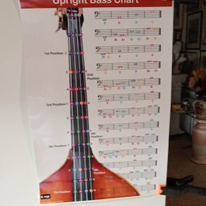 Upright Bass Fingering Chart - Color-Coded Note Guide For All Players ...
