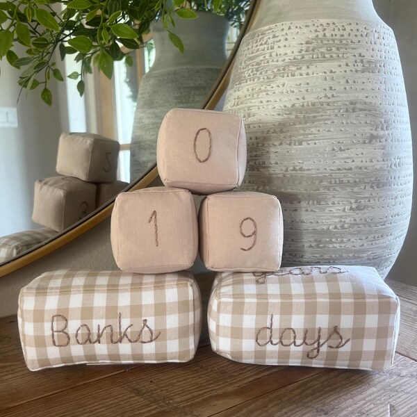 Month Markers Blocks With Light Blue Checkered Print - Age Milestone ...
