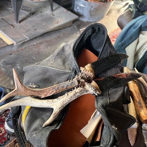 Real Giant European Wild Boar Skin Hooves Hide Pelt Area Rug Hide ...