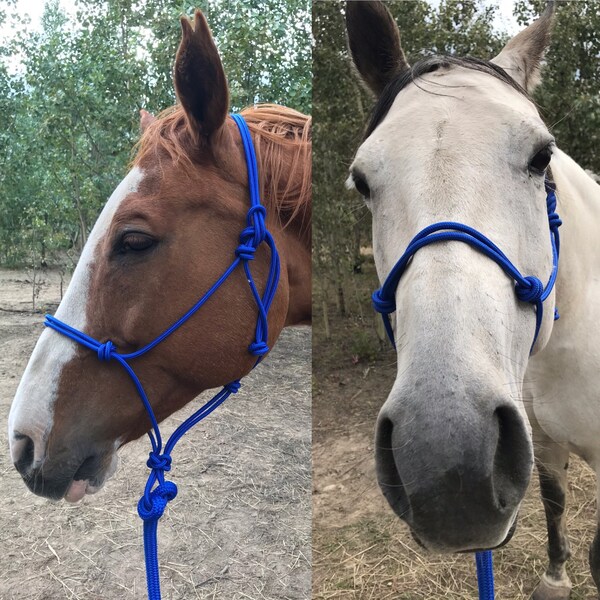 Custom Rope Halter & 12 Foot Attached Lead Rope, Yacht Rope Halter ...