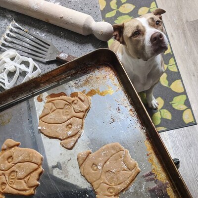 Pitbull Cookie Cutter Baking Supplie Pup Cutter Dog - Etsy