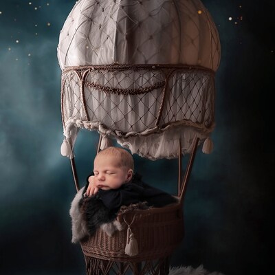 The 'ernest' Digital Backdrop Collection SET OF 5 Stunning Bowl ...