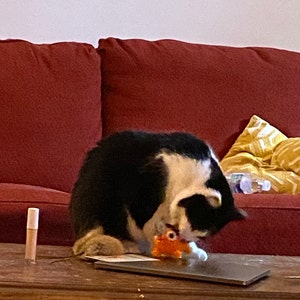 Crochet Rimuru Tempest - Etsy