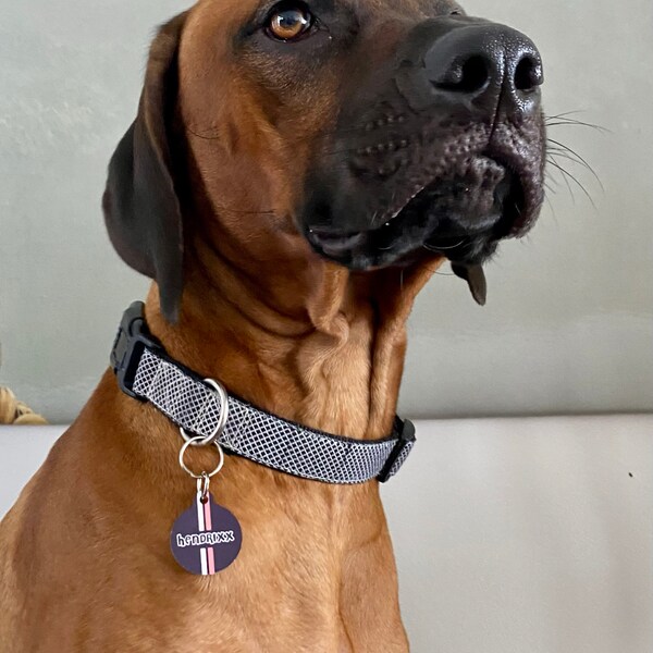 Blue Hunter Dog Tag Cat Tag Pet ID Tags - Personalised Name and Number ...