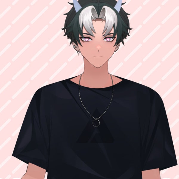 Premade Vtuber - Color Customizable, 4 Toggle Switches, 1 Extra Asset ...