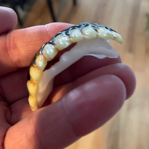 Black Pennywise Teeth Costume Appliance Veneers Dental Distortions 2.0 ...