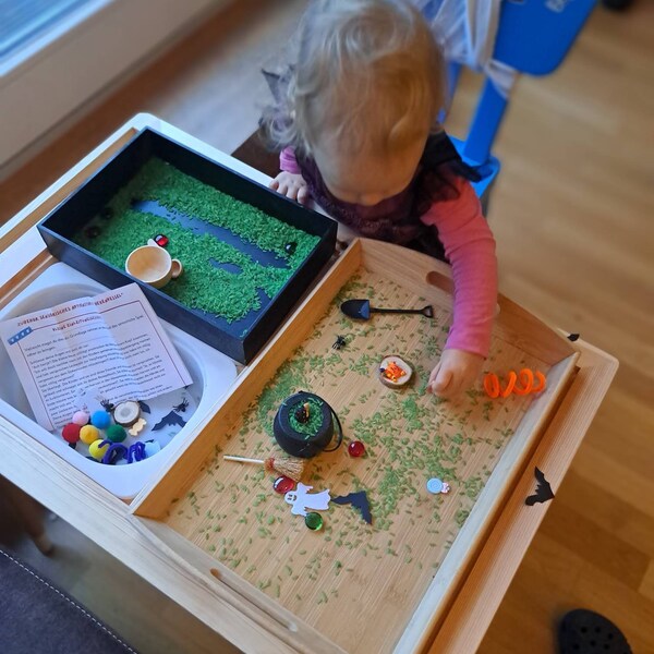 Montessori Play Set: Puzzle Game With Wooden Sticks & Motif Cards ...