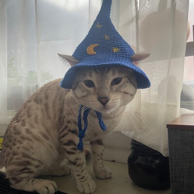 Wizard Hat for Cat Wizard Pet Hat Small Dog Hat Gift for - Etsy