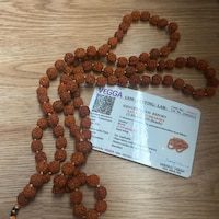 5 Pc 10 Cm Big- Indian Origin Desi COW DUNG CAKE Gobar Upale Kande 180 ...