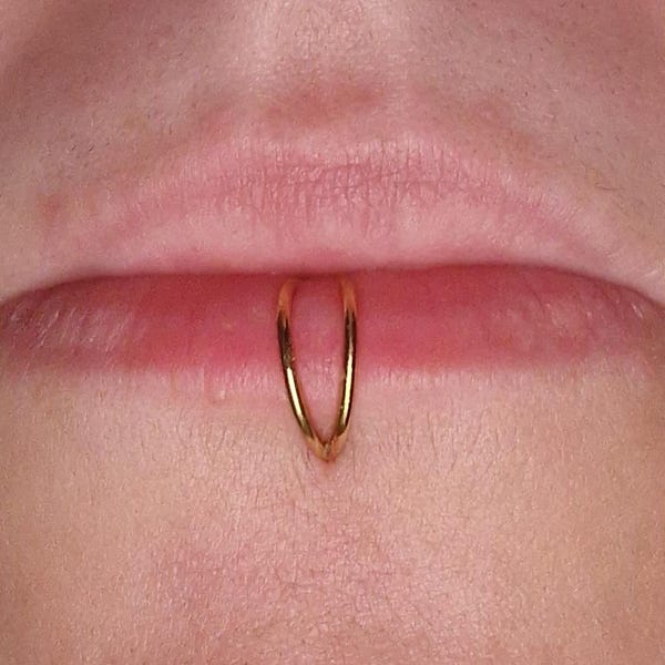 16G Skull Bird Septum Ring/hinged Segment Clicker/daith Earring ...