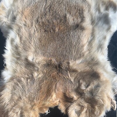 1 Pcs Natural Color Rabbit Fur Pelts Craft Grade Assorted - Etsy