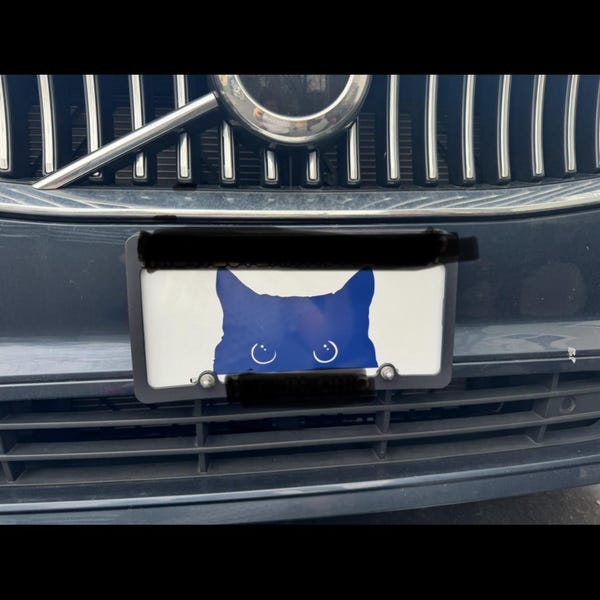 Librafluid/flux Flag, LGBTQIA+ Pride Flag - Full Color Static Window ...