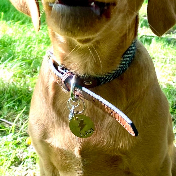 Custom Lightning Bolt Dog Tag ID, Personalized Pet Name Tag, Dog Collar ...