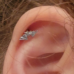 16G Tiny Shell Flower Stud Earring Helix Conch Cartilage Ear - Etsy