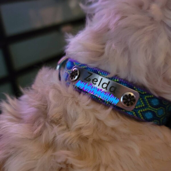 Collar Name Plate, Tiny Personalized Name Plate, 316 Stainless Rivet on ...