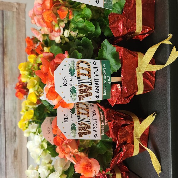 Teacher Appreciation Sign, Chocolate Popcorn Thank You Sign, Staff ...