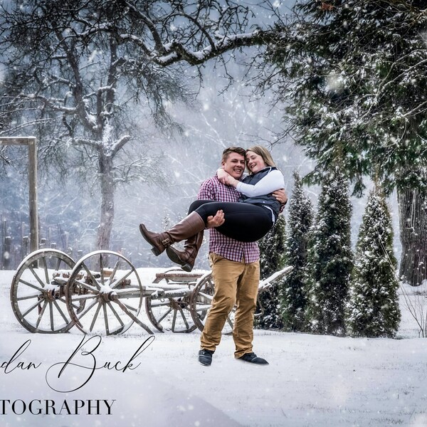 Autumn/fall Backdrop / Digital Background / Autumn Colors / Path ...