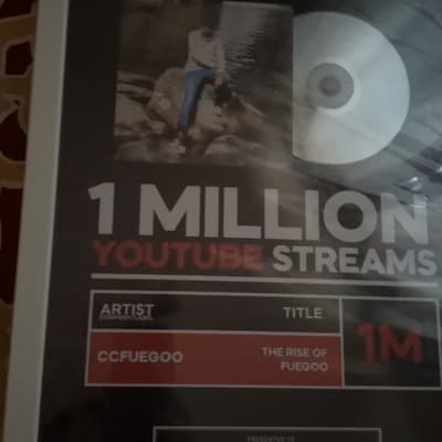 MUSIC STREAMING AWARD, Custom Vinyl Record, Award, Vinyl Record Plaque ...