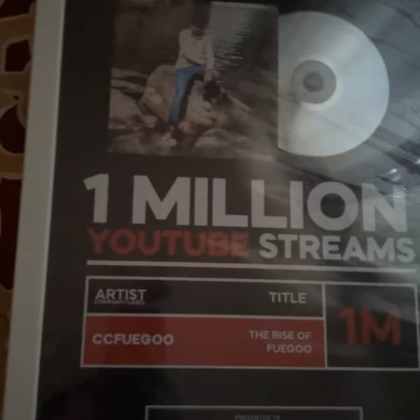 MUSIC STREAMING AWARD, Custom Vinyl Record, Award, Vinyl Record Plaque ...