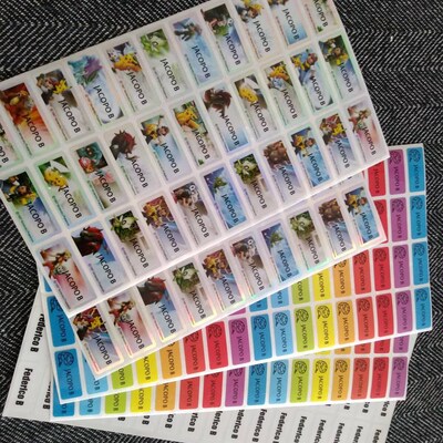 48/96 Frozen Personalised Name Label Stickers Medium - Etsy